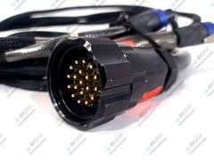 10' - 12AWG 600V Fanout Cable w/ SPX19IM 19-Pin Connector to (4) NL4FX ...