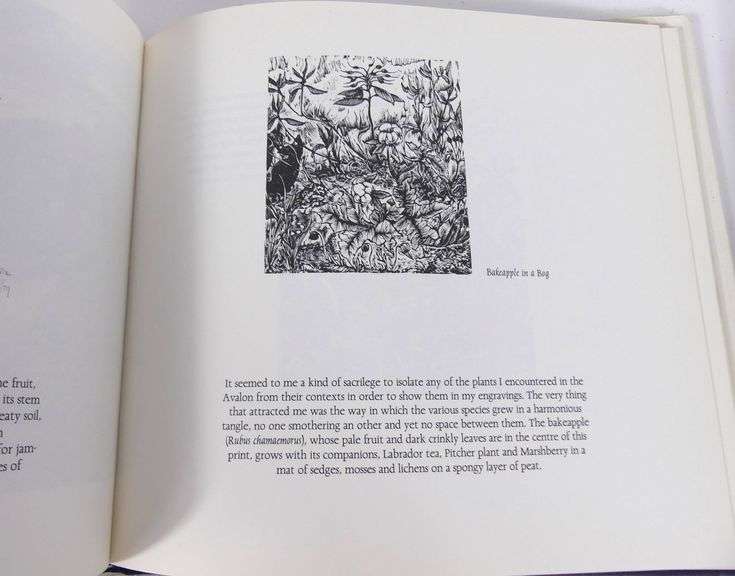 GERARD BRENDER A BRANDIS - Gardner Galleries