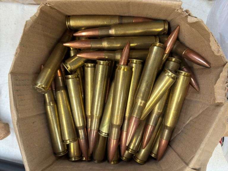 50 cal ammo - Gary Realty & Auction