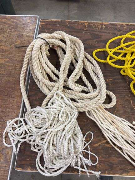 Bungies, straps, ropes etc - Gary Realty & Auction