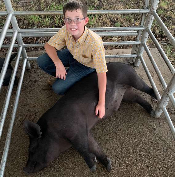Elijah Carlin SWINE - Gavel Roads Online Auctions