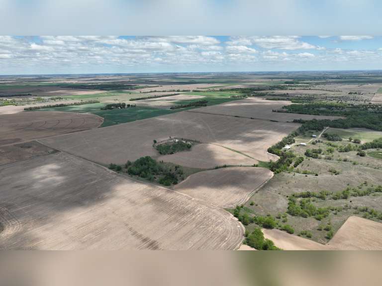 Tract 2: 137± Acres - Gavel Roads Online Auctions