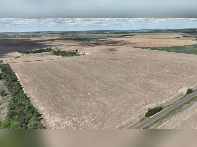 Tract 2: 137± Acres - Gavel Roads Online Auctions