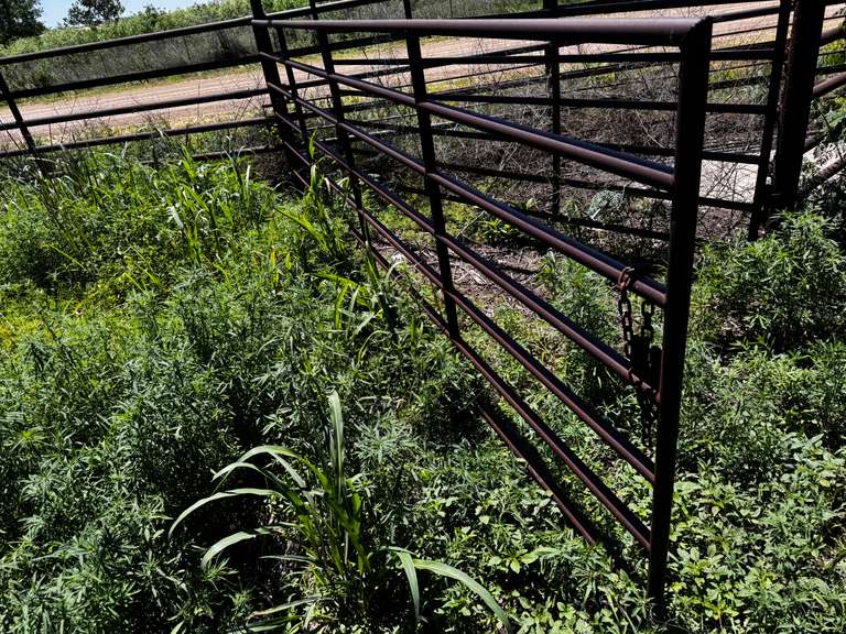 (2) 16' Swinging Gates - Gavel Roads Online Auctions