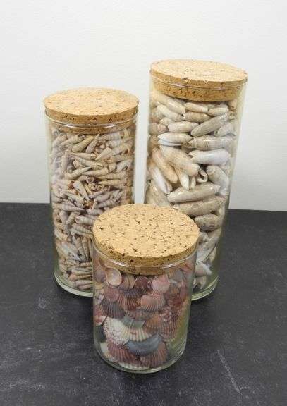 Three Jars with Sea Shells & Cork Lids - GC5 Auctions