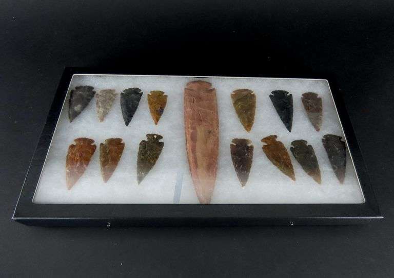 Glass Top Riker Box with Collectible Arrowheads - GC5 Auctions