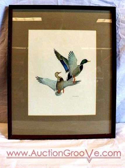 Mallards. This beautiful Duck picture depicts 2 ducks in mid flight. 17 ...
