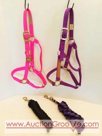 Two colorful nylon halters with lead ropes. Neon pink halter by ...