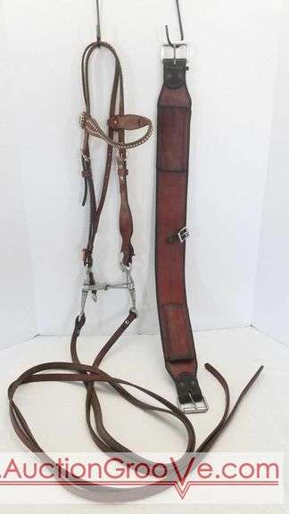 Beautiful leather bridle with silver details, bit, and reins. Bridle ...