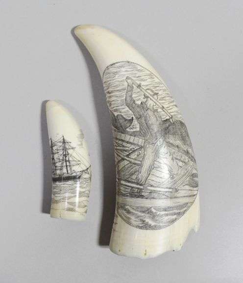 WHALE TOOTH SCRIMSHAWS (2) - Hodgins Halls Auction Group