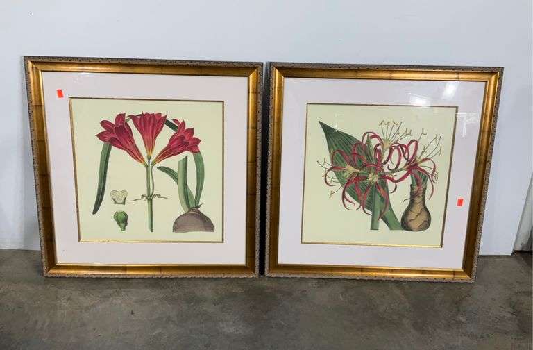 Two large floral prints, framed, 36x36 - Hash Auctions
