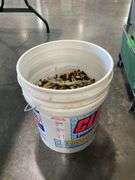 Empty Brass Ammunition Shells, Brass Only, 5-gallon bucket Half Full ...