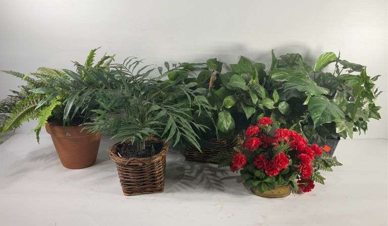 Five everlasting potted plants, 2 greenery in baskets, fern in Silma ...