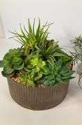 Everlasting succulent pots. - Hash Auctions