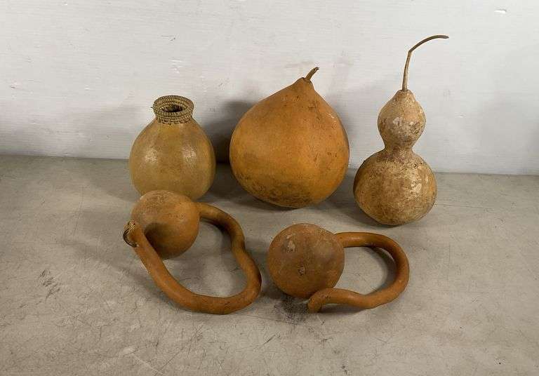 Group of gourds, one turned into vase - Hash Auctions