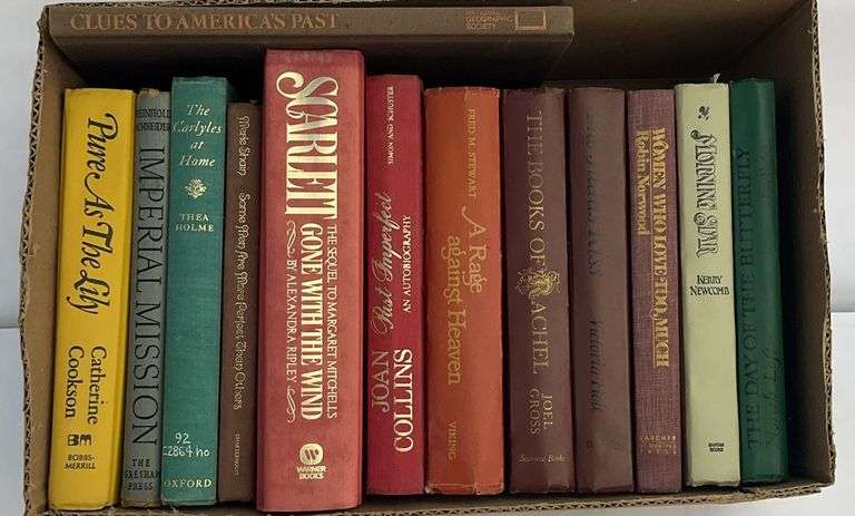 Box lot of hardcover novels, titles include, pure as a lily, a rage ...