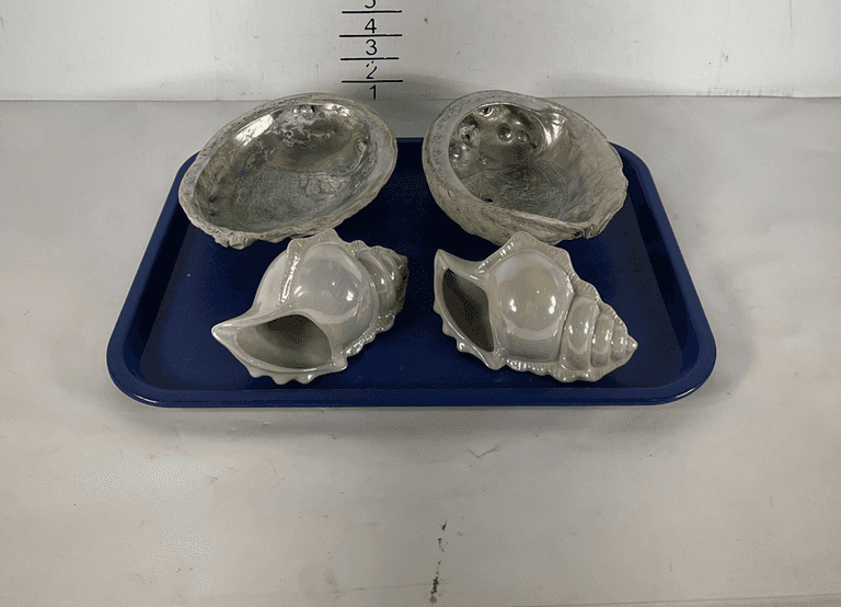 Pair of Shells and Ceramic Conch Figures - Hash Auctions