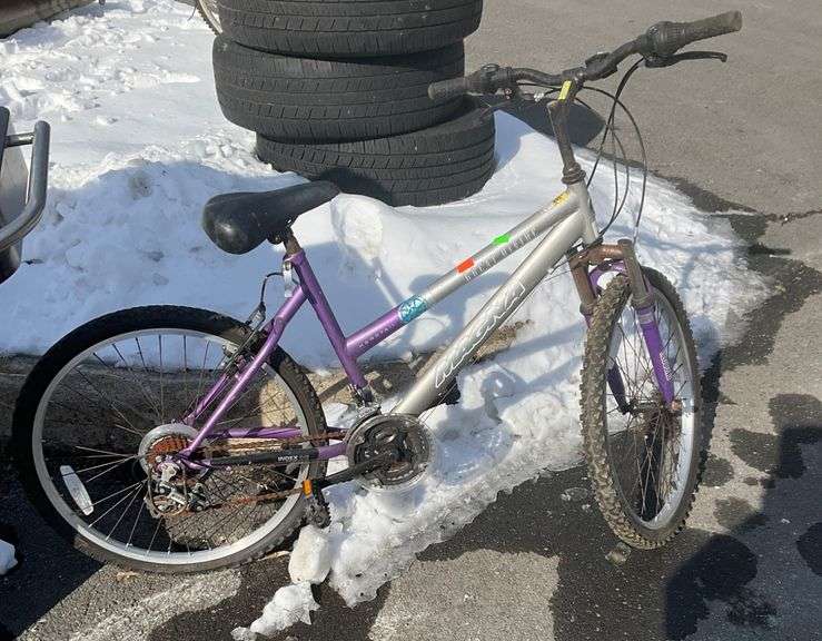 Purple And Silver Mountain Bike with Gear Shift - Hash Auctions