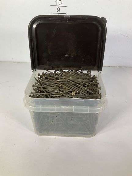 Plastic Storage Box with Assorted Metal Nails - Hash Auctions