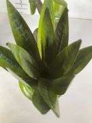 Pair of Monkey Figurines Holding Faux Succulent Arrangements on Wood ...