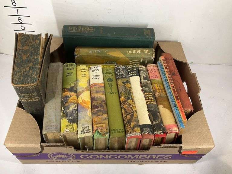 Collection of Early to Mid-20th Century Books, Including Works by Zane ...