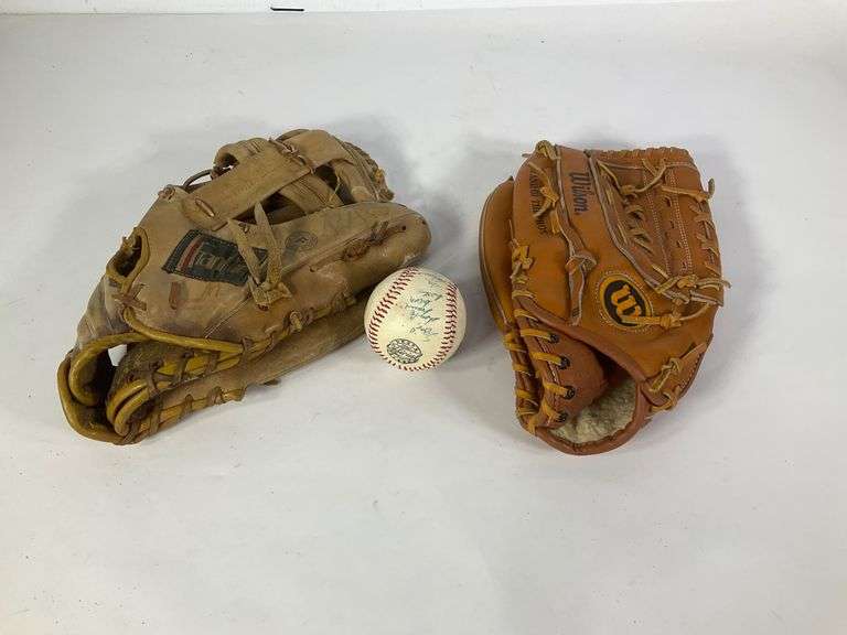 Wilson Autograph Model Baseball Glove, Franklin Baseball Glove, and ...