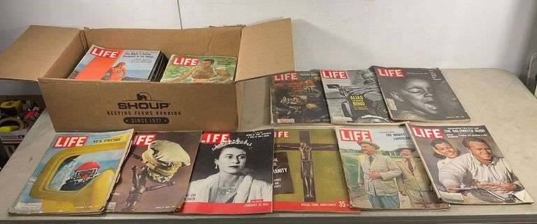 Collection of LIFE Magazines Featuring Assorted Covers and Topics ...