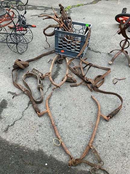 Assorted Horse Tack and Harness Components with Metal Fittings - Hash ...