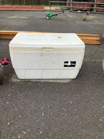 Large Plastic Cooler With Hinged Lid and Side Handles - Hash Auctions