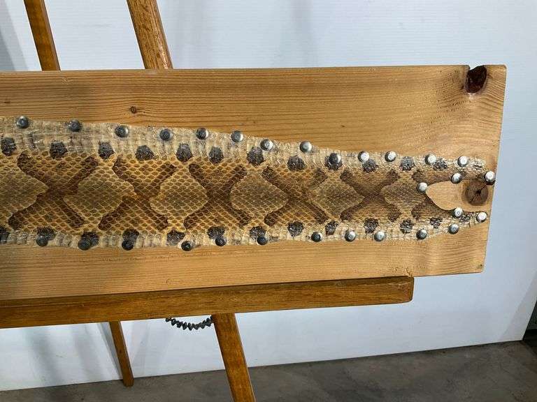 Mounted Rattlesnake or Copperhead Skin Display on Wood Board, 40.5×7.5 ...