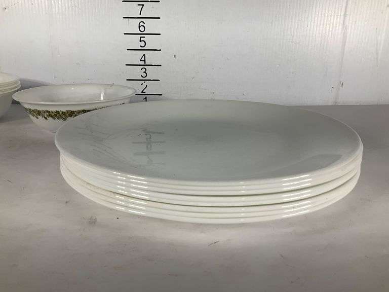 13-Piece Corelle Livingware Dinnerware Set with Green Floral Design ...