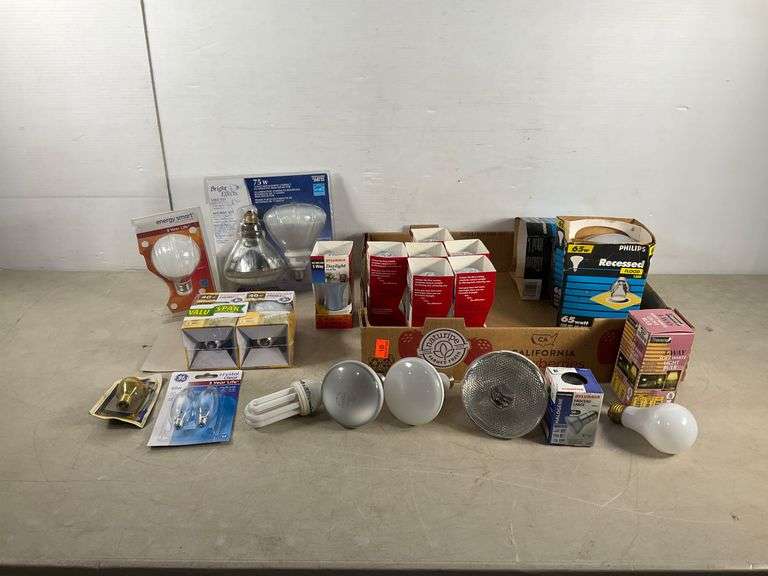 Incandescent, CFL, and LED Light Bulbs, Various Brands and Types - Hash ...