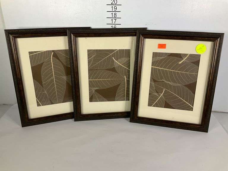 Set of Three Framed Leaf Prints with Decorative Frames - Hash Auctions