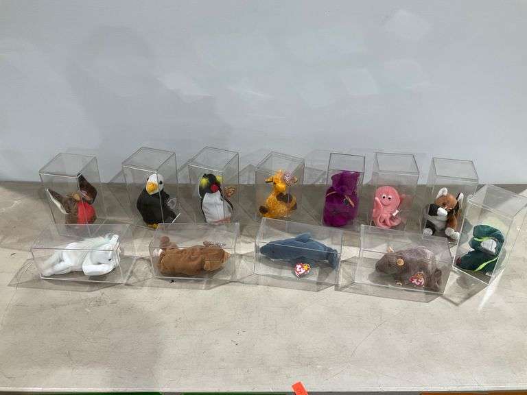 12 Ty Beanie Babies in Clear Display Cases - Hash Auctions