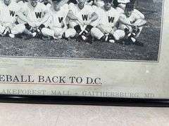 Washington Senators 1954 Griffith Stadium Team Poster in Black Frame ...