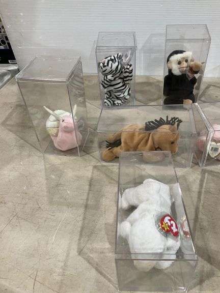 12 Ty Beanie Babies in Plastic Display Cases - Hash Auctions