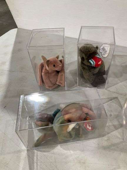 12 Ty Beanie Babies in Display Cases - Hash Auctions