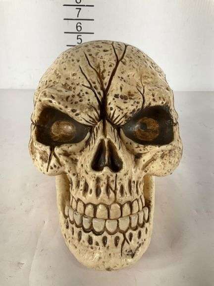 Decorative Skull Replica with Detailed Anatomical Features - Hash Auctions