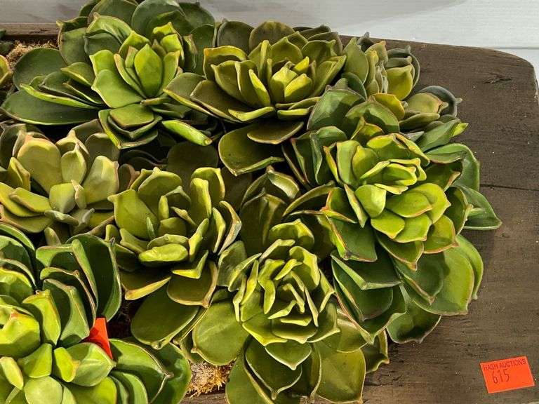 Decorative Arrangement of Faux Succulents in a 28-Inch Wide Rustic Tray ...