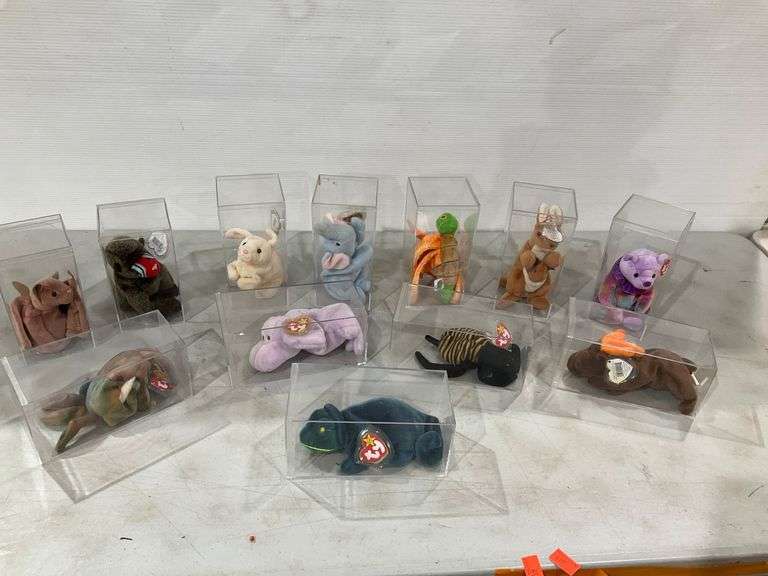 12 Ty Beanie Babies in Display Cases - Hash Auctions