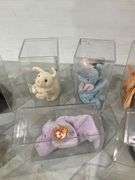 12 Ty Beanie Babies in Display Cases - Hash Auctions