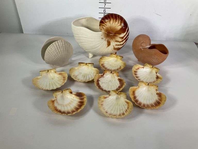 Ceramic Shell Set with Two Sculptural Vessels and Natural Scallop ...
