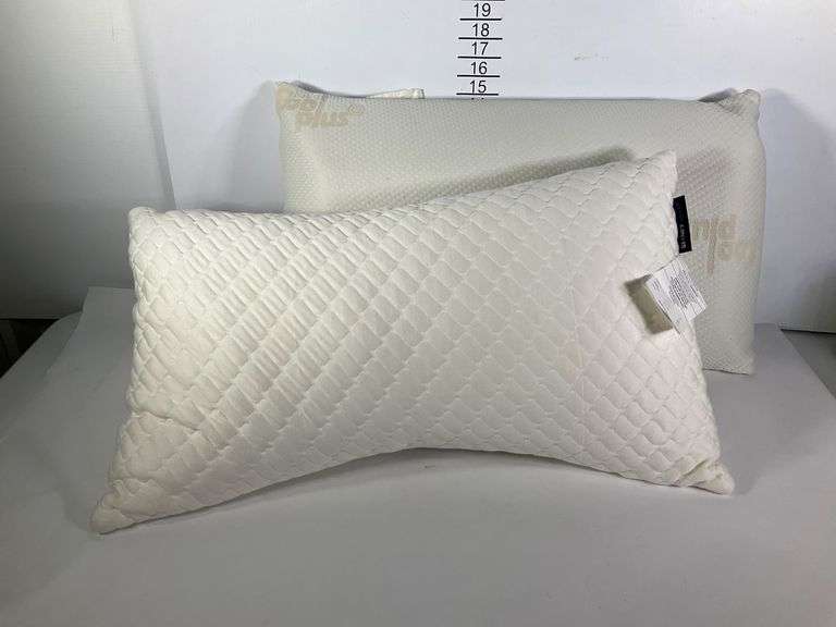 Sidney Sleep Quilted and Cool Plus Pillows Set - Hash Auctions
