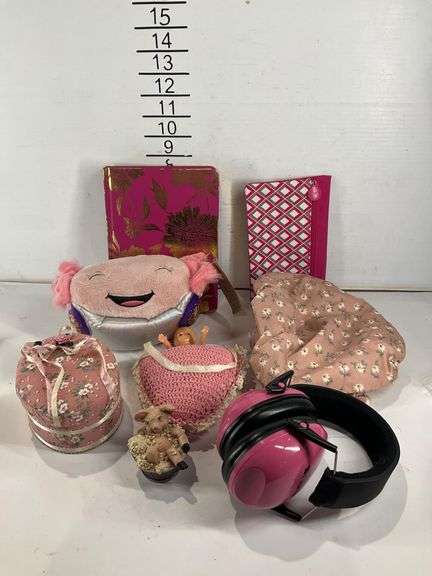 Pink-Themed Items Including Notebooks, Plush Toy, Doll, and Accessories ...