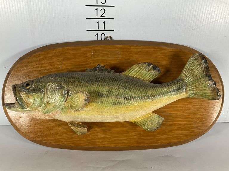 Mounted Largemouth Bass on Wooden Plaque - Hash Auctions