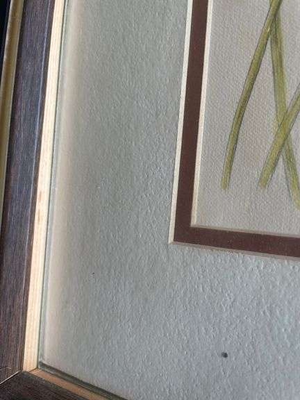 Don Kent Butterfly Print - Halfhill Auction Group