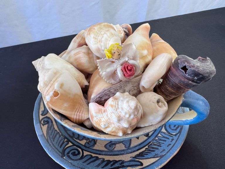 Shell We? - Halfhill Auction Group