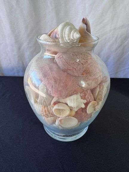 Shell We? - Halfhill Auction Group