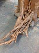 Tree Root Table Base - H.K. Keller
