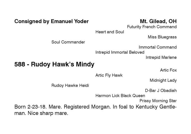 Rudoy Hawk’s Mindy - Mt Hope Auction